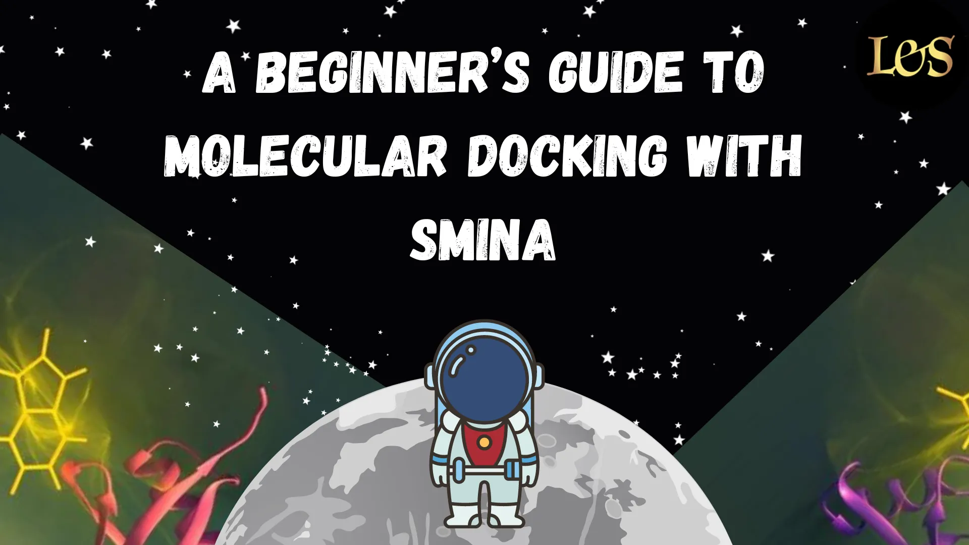 A Beginner’s Guide to Molecular Docking with Smina - NyBerMan ...