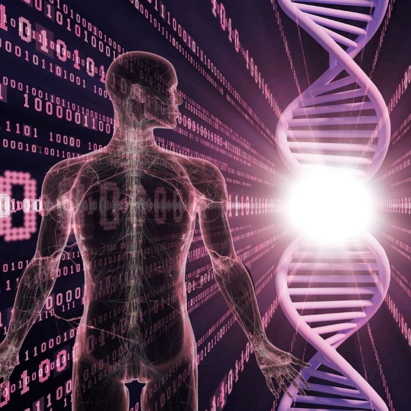 population genomics – NyBerMan Bioinformatics